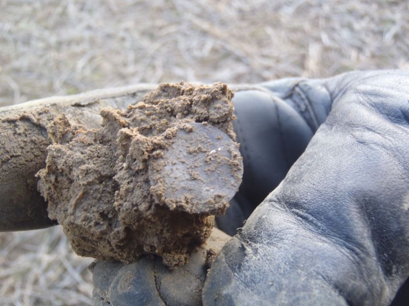 Glorious Colonial Digs, Nipple Buttons, Spanish and Coppers | TreasureNet.com