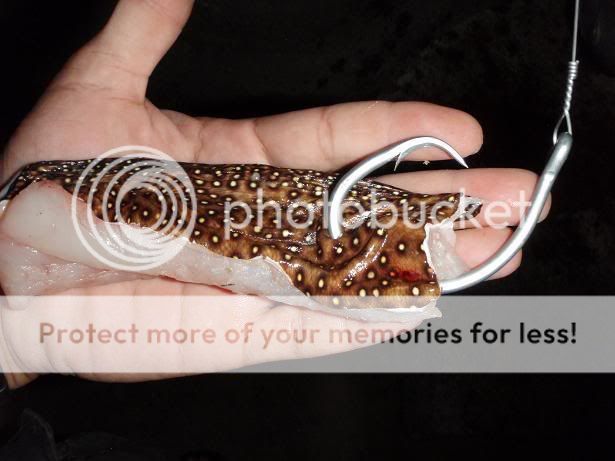 Ulua Setup for the rocks... | Bloodydecks