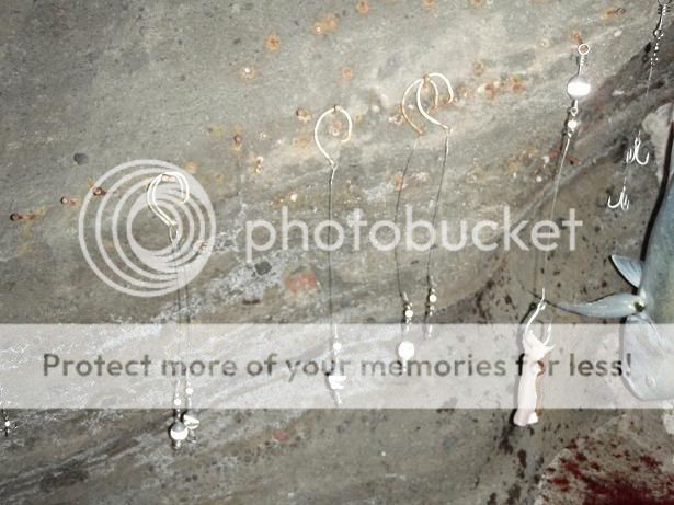 Ulua Setup for the rocks... | Bloodydecks