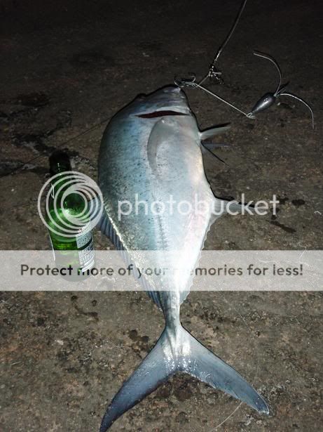 Ulua Setup for the rocks... | Bloodydecks