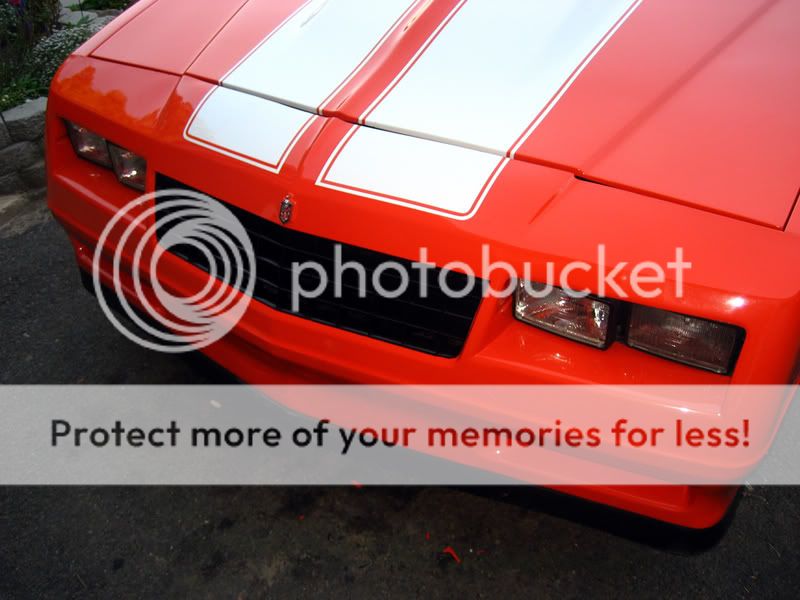 Finally painted my grill | GBodyForum - 1978-1988 General Motors A/G ...