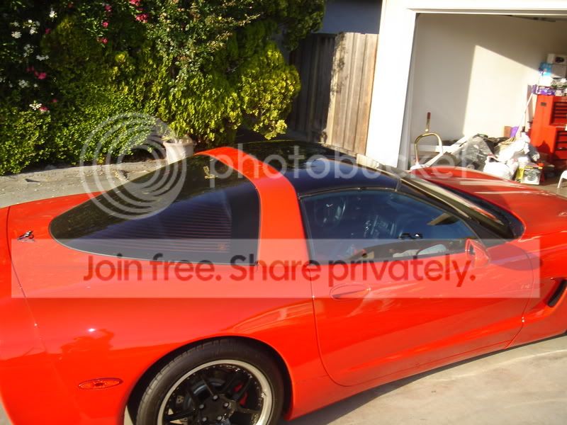 Glass Targa top - CorvetteForum - Chevrolet Corvette Forum Discussion