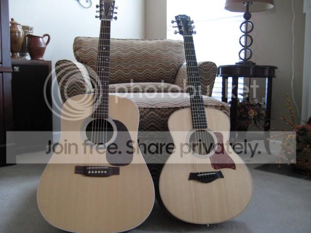 Little GS Mini wanted to come play with my Martin! - The Acoustic ...