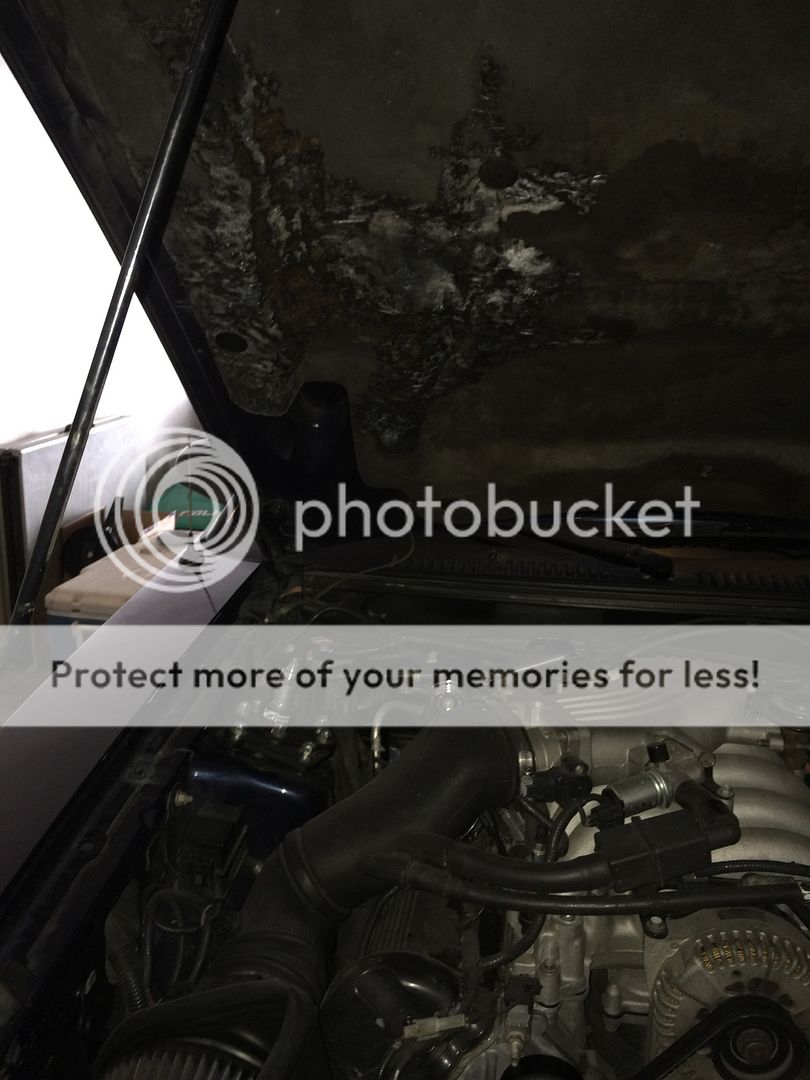 Small engine bay fire | Ford Mustang Forums