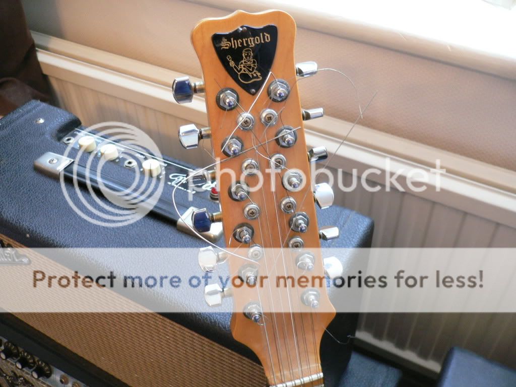 Electric 12 Strings? - Page 3 - OffsetGuitars.com