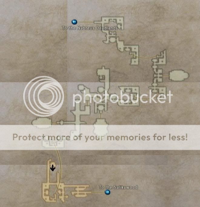 Secret Shop at Necrohol Nabudis. - Final Fantasy XII Forum - Neoseeker ...