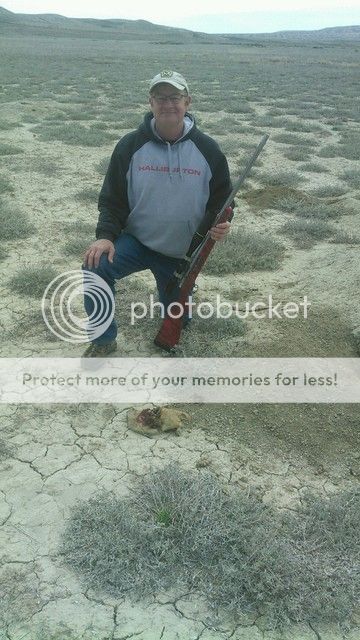 Rate my prairie dog rifle > General Discussion > AR15.COM