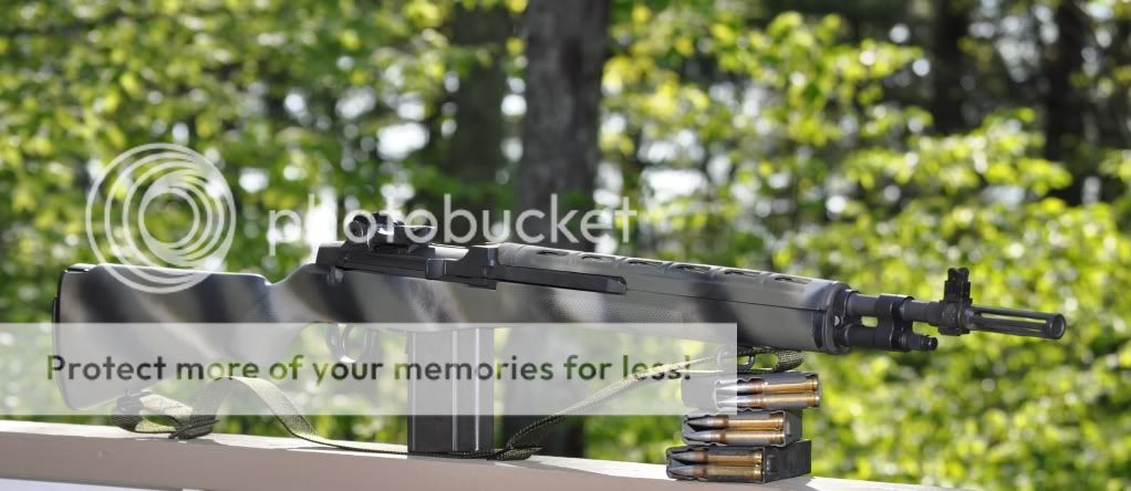 Show off your "Painted M14 type rifles!! | Page 19 | M14 Forum