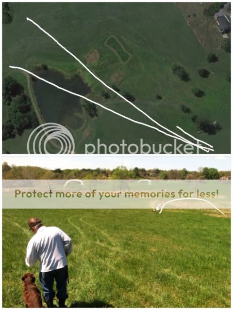 What did you and your pup work on today? | Page 35 | Duck Hunting Forum