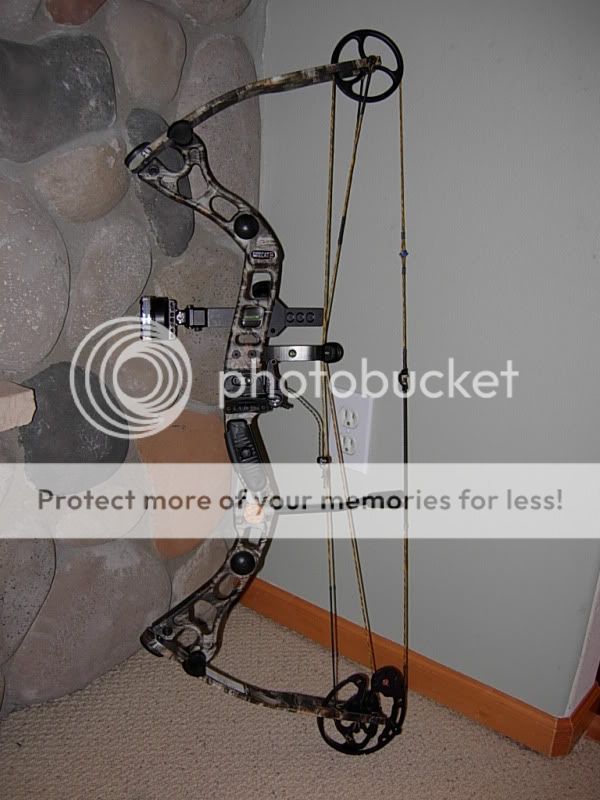 Well, here she is, Martin Firecat TR1 | Archery Talk Forum