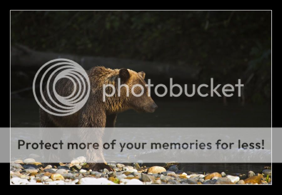 Nature & Wildlife - Photography - FM Forums