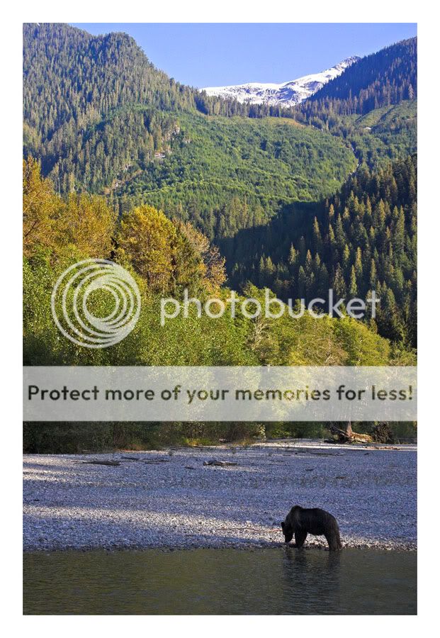 Nature & Wildlife - Photography - FM Forums