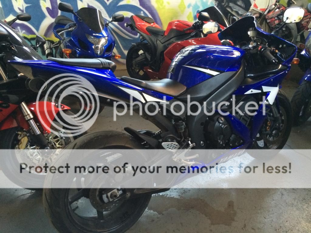 Considering buying 2006 R1. Has blue lowers and black fork tubes ...