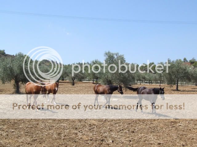 Cyprus | SkyscraperCity Forum